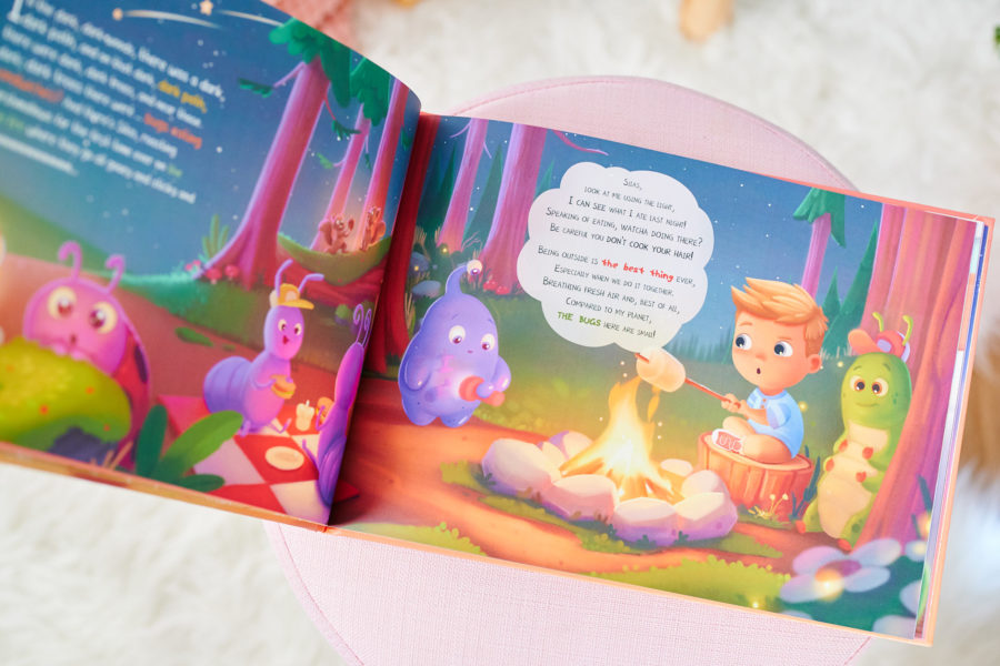 Rascal Raccoon Interview - Hooray Heroes